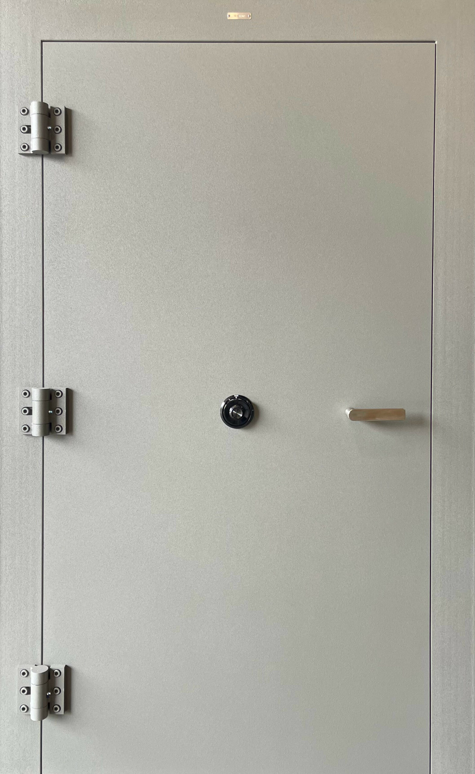 residential safe, secure storage, high security safe, panic room door